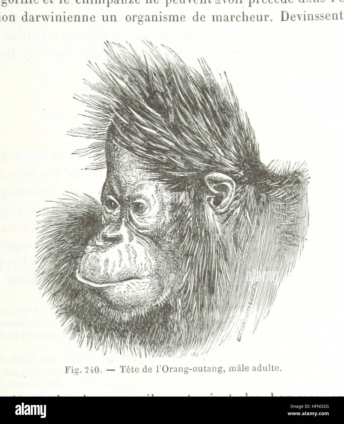 A work detailing early humans and prehistoric times, with 12 plates and ...