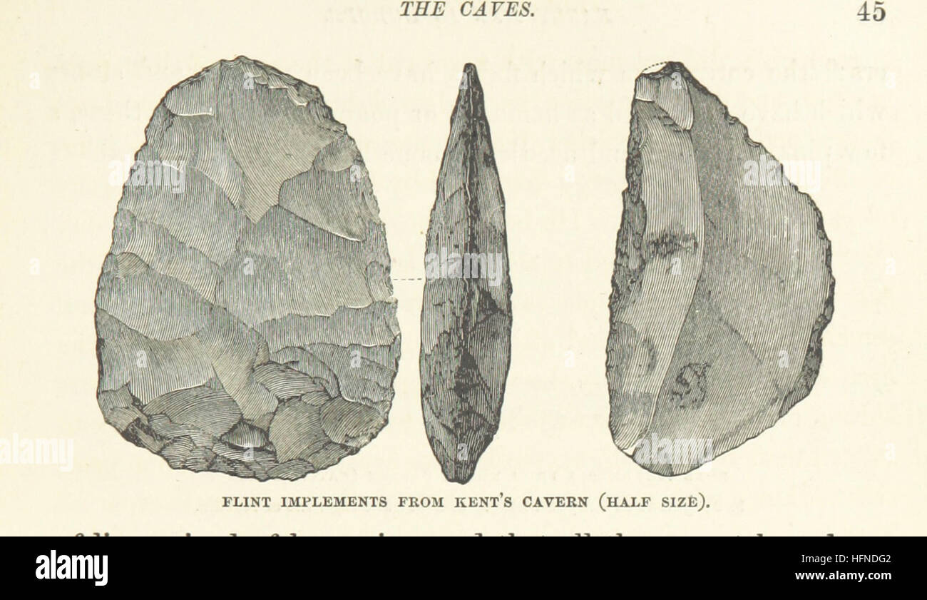 An illustrated work detailing the early human presence in Europe ...