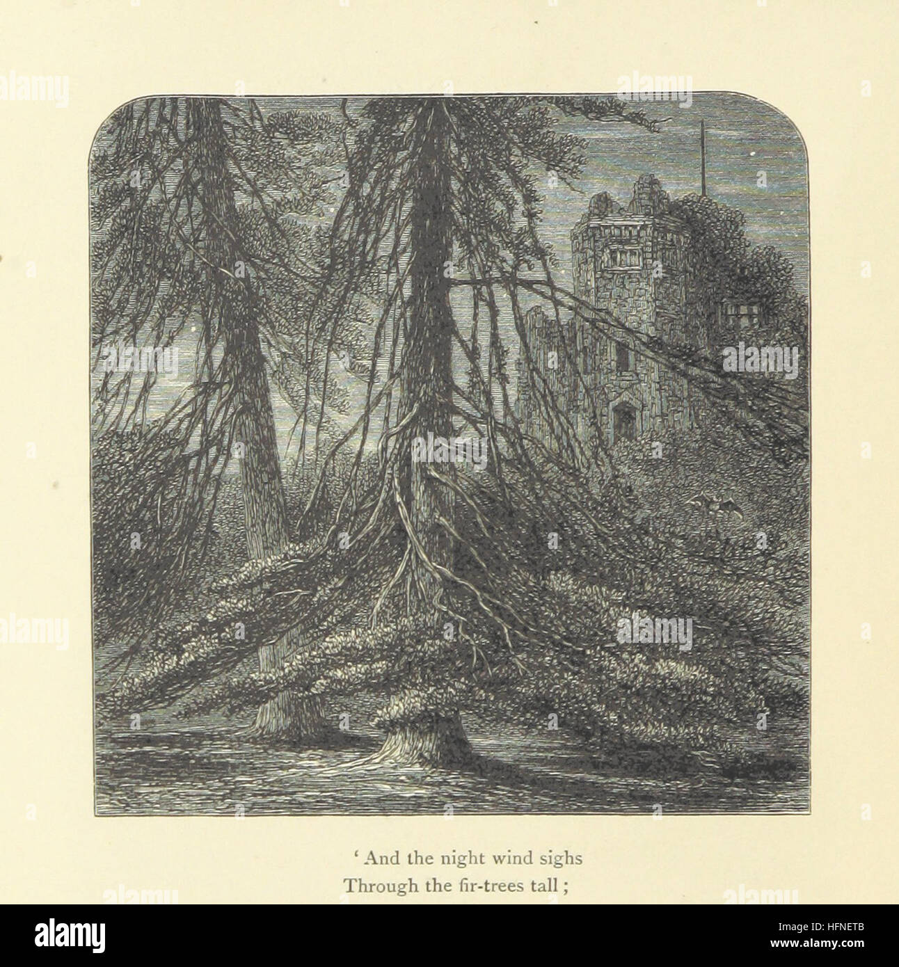 Lydia page hi-res stock photography and images - Alamy