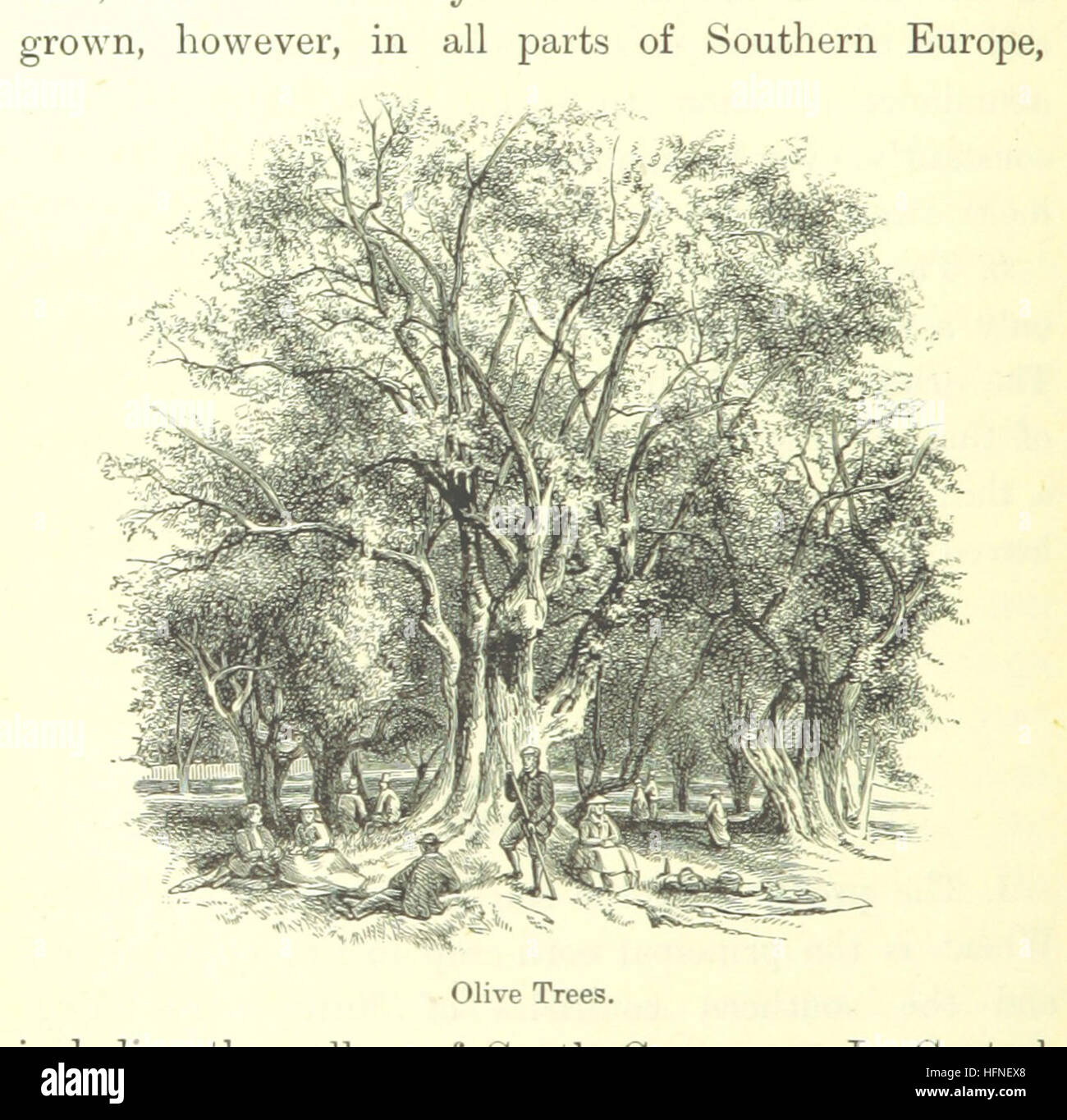 A geographical reader providing an overview of world geography ...