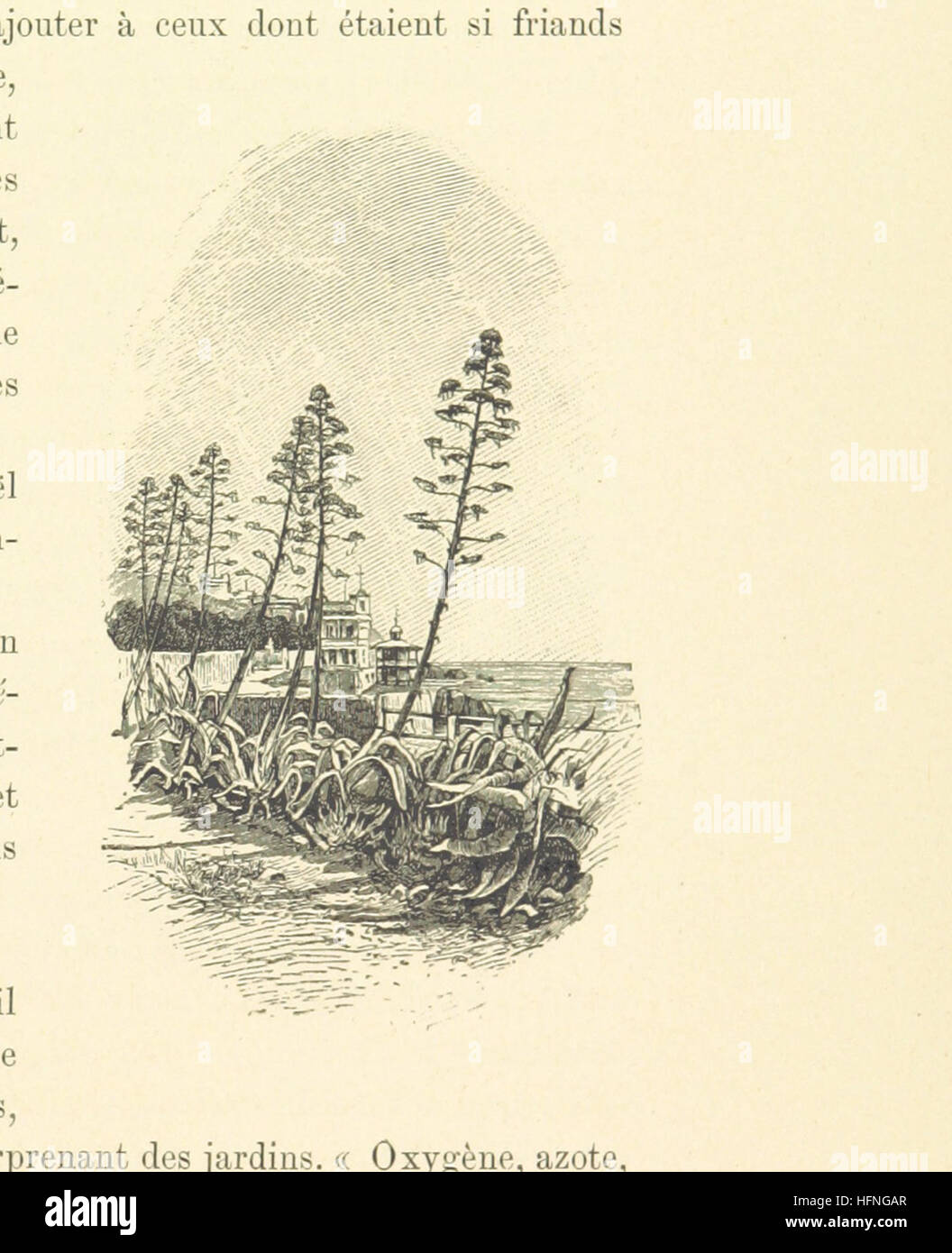 This book offers an illustrated description of the French Riviera ...