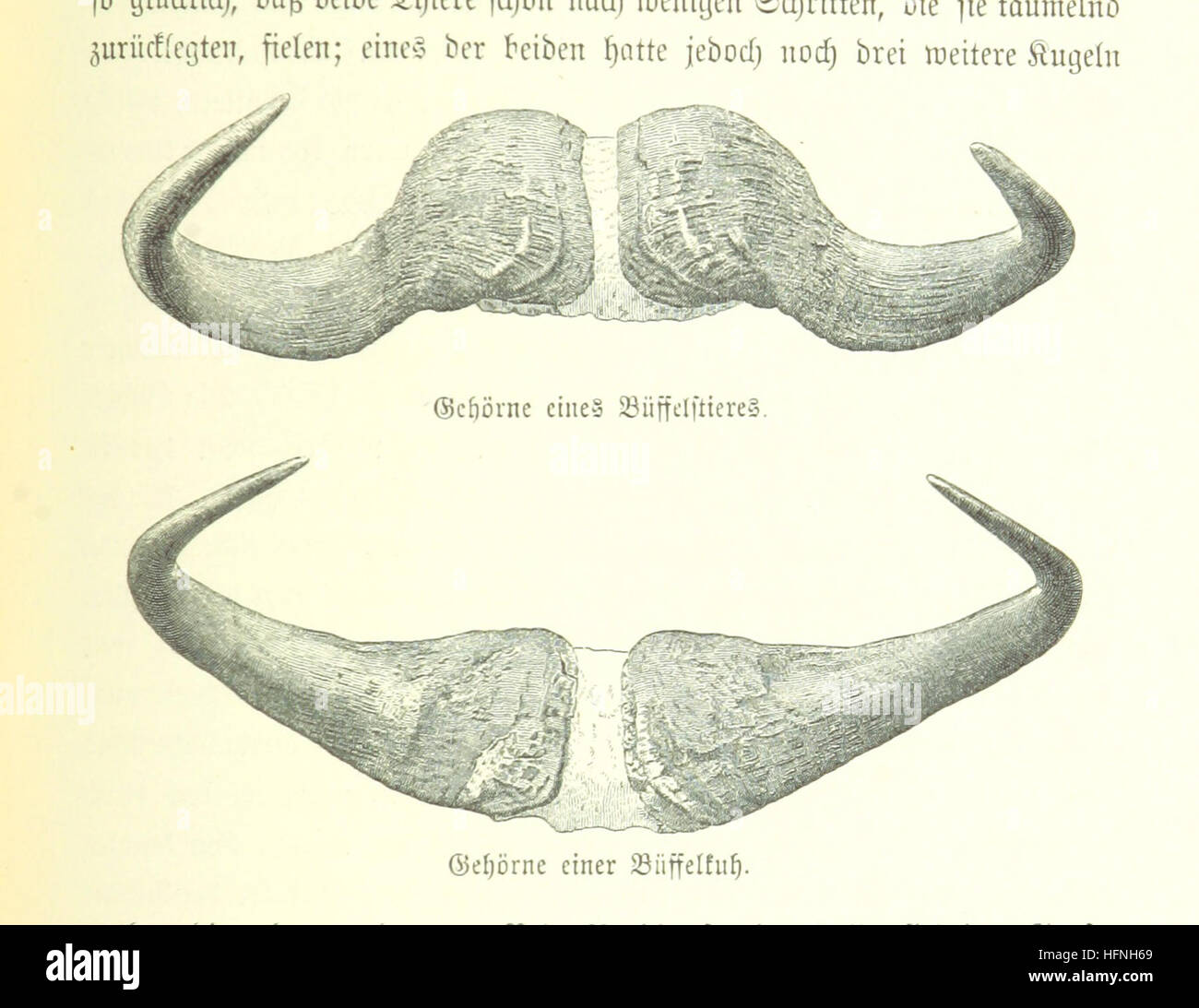 A detailed account of Count S. Teleki's expedition to the Rudolph and ...