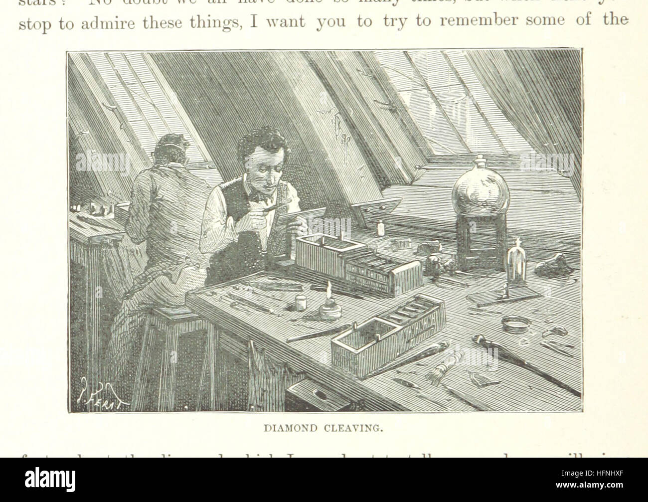 This image from 'Wonderland' offers a portrayal of nature and art ...