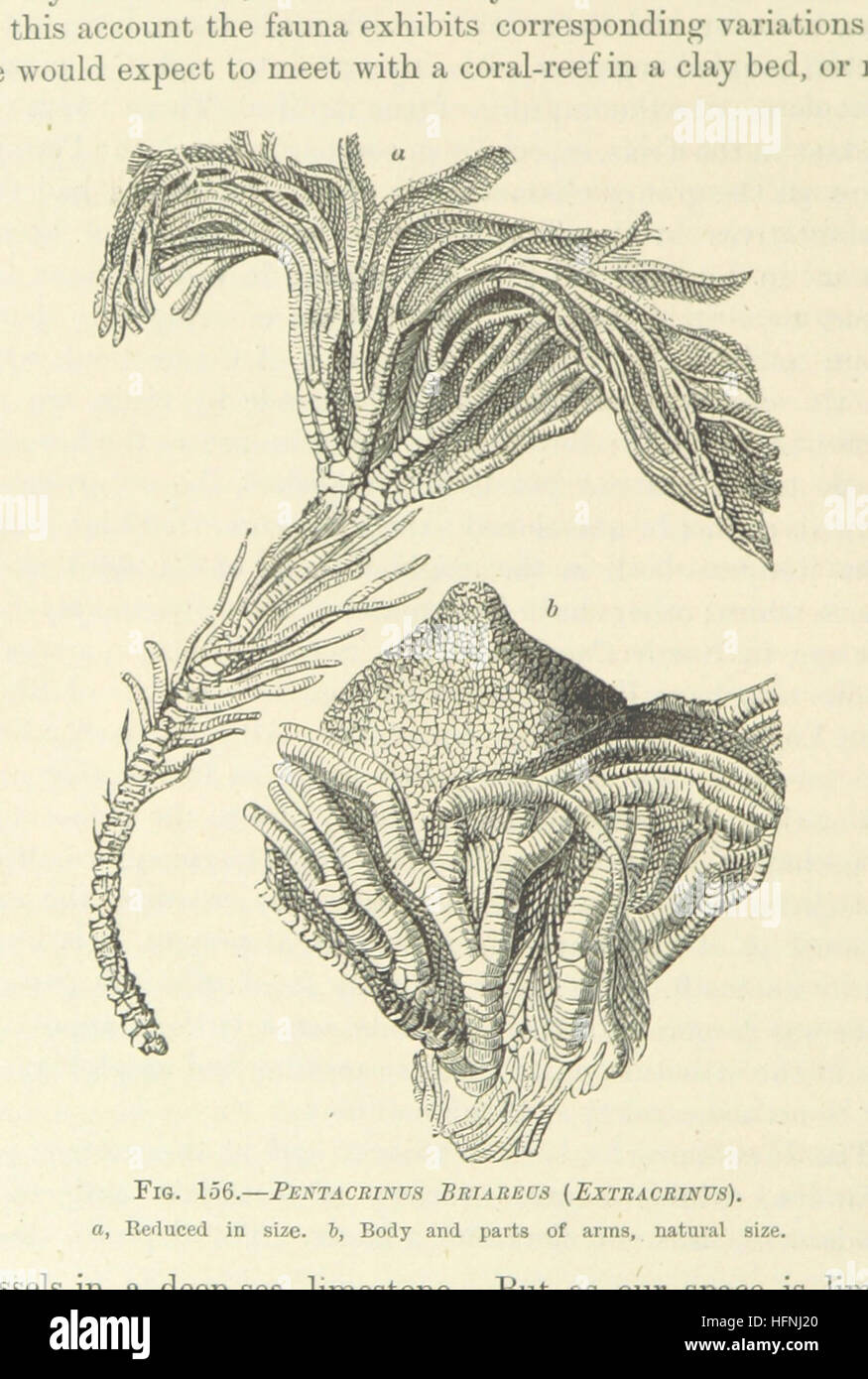 An illustrated account of the Earth's history, detailing the planet's ...