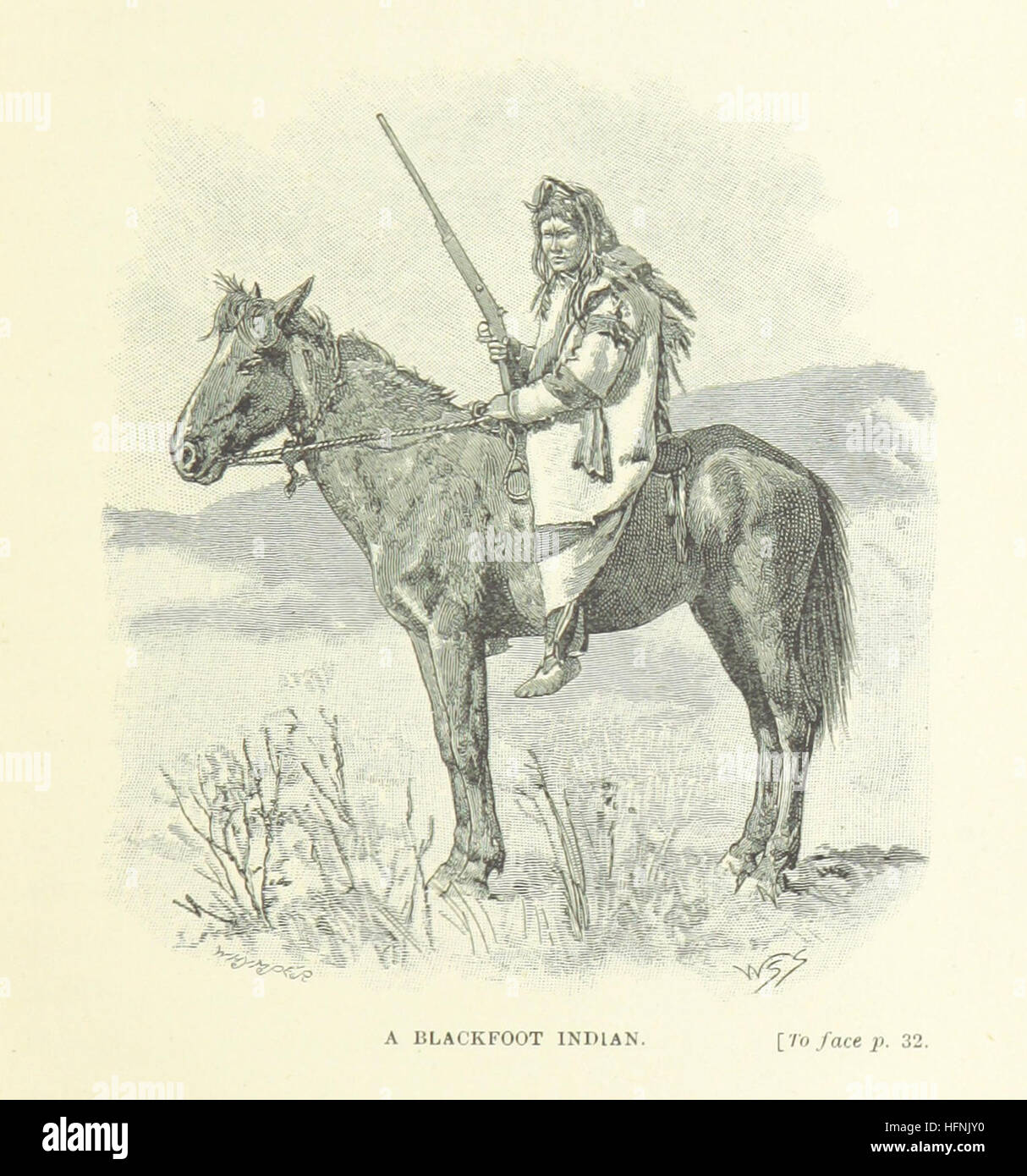 Tenderfoot hi-res stock photography and images - Alamy