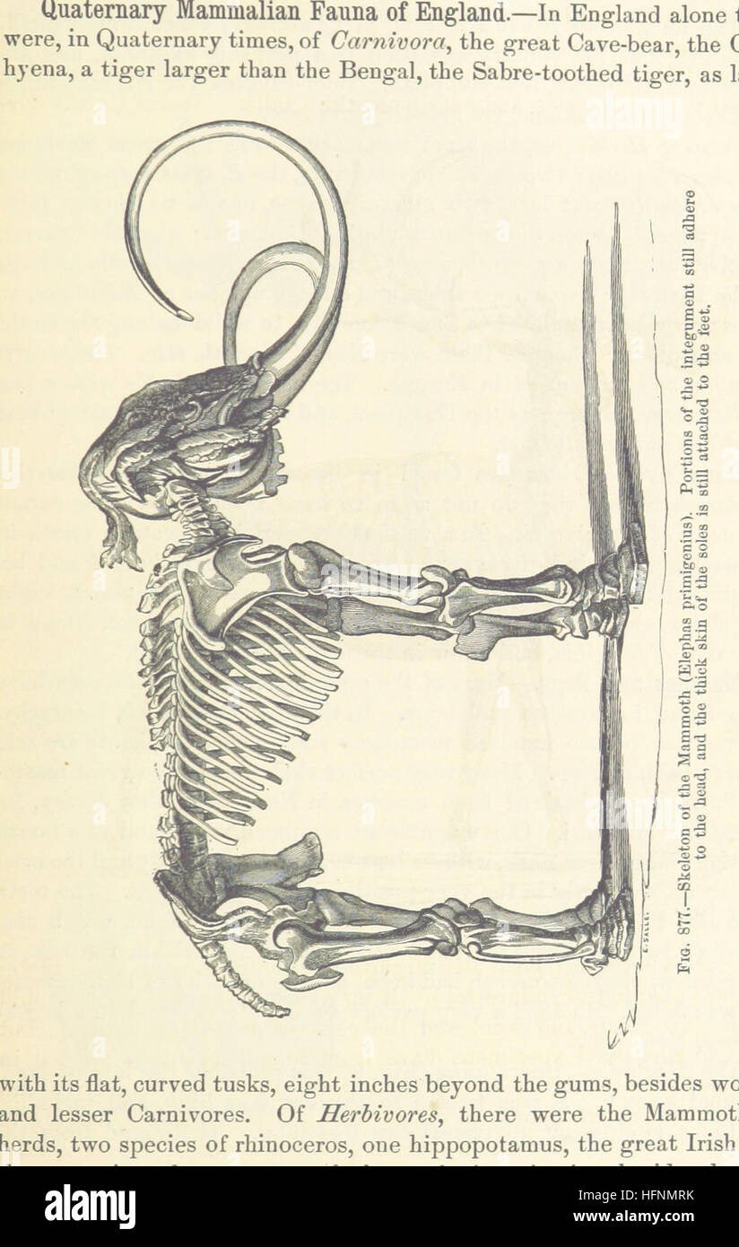 This image from 'Elements of Geology' illustrates key geological ...