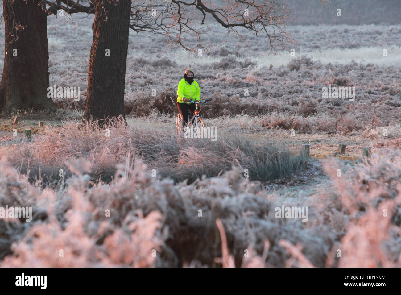 Photographers gather in their masses on the field in Richmond Park to ...