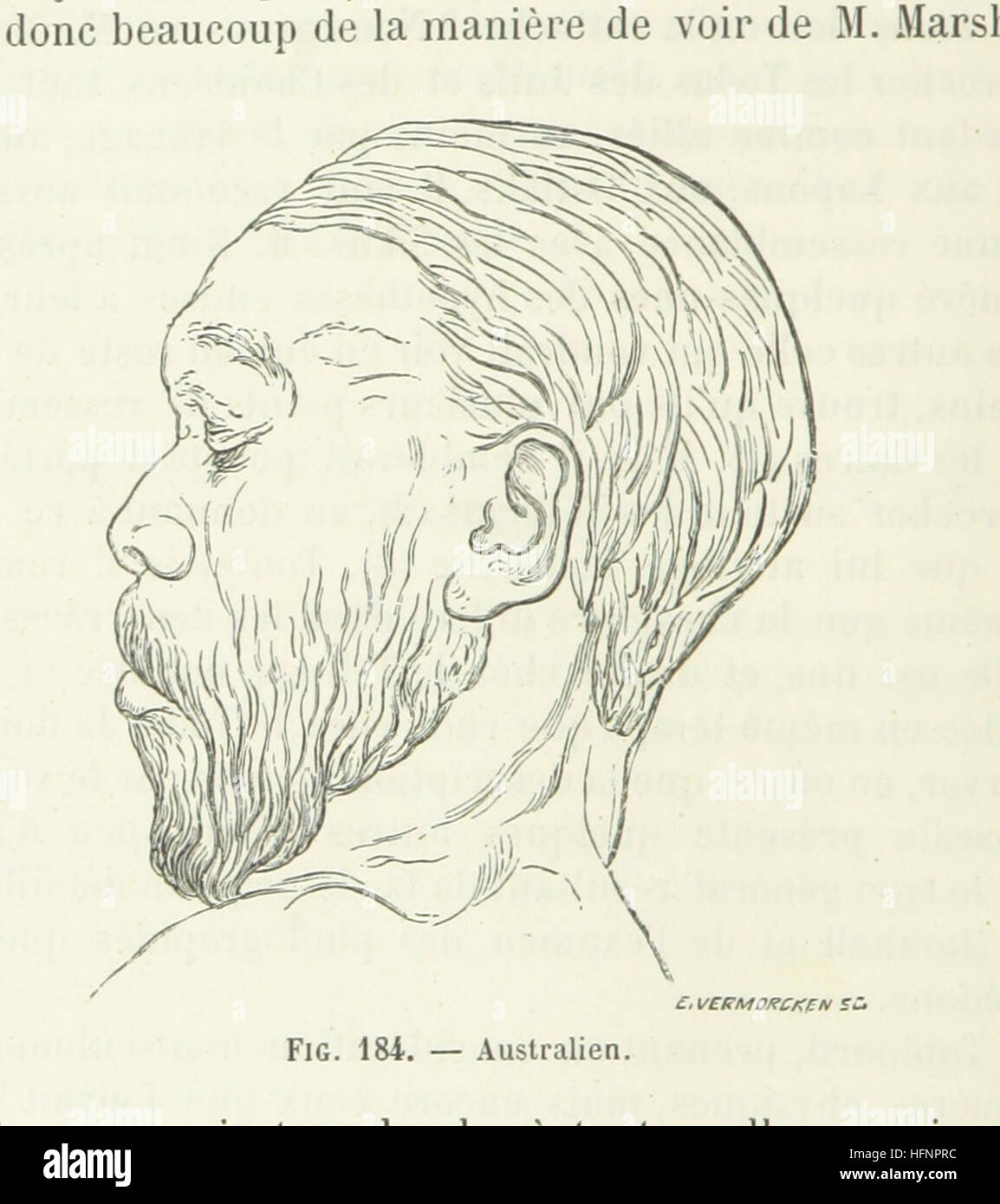 An anthropological study on prehistoric humans and wild men, featuring ...