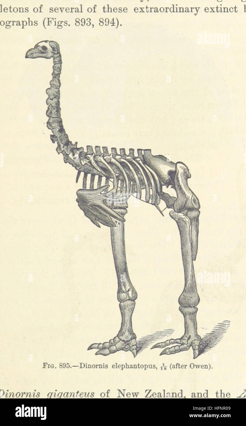 This textbook provides a foundational understanding of geology ...