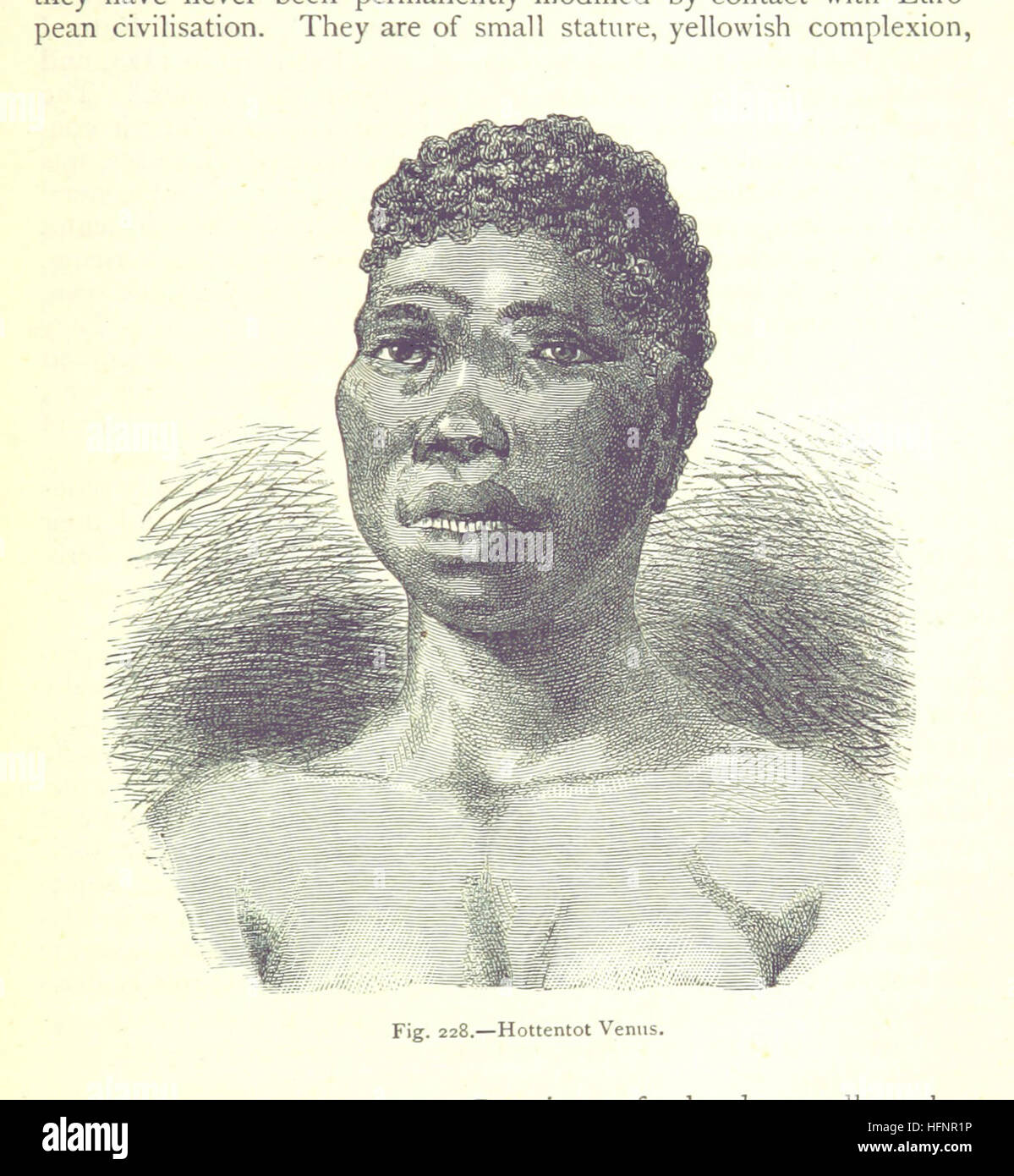 Image from page 583 of 'The Human Race', featuring engravings on wood ...