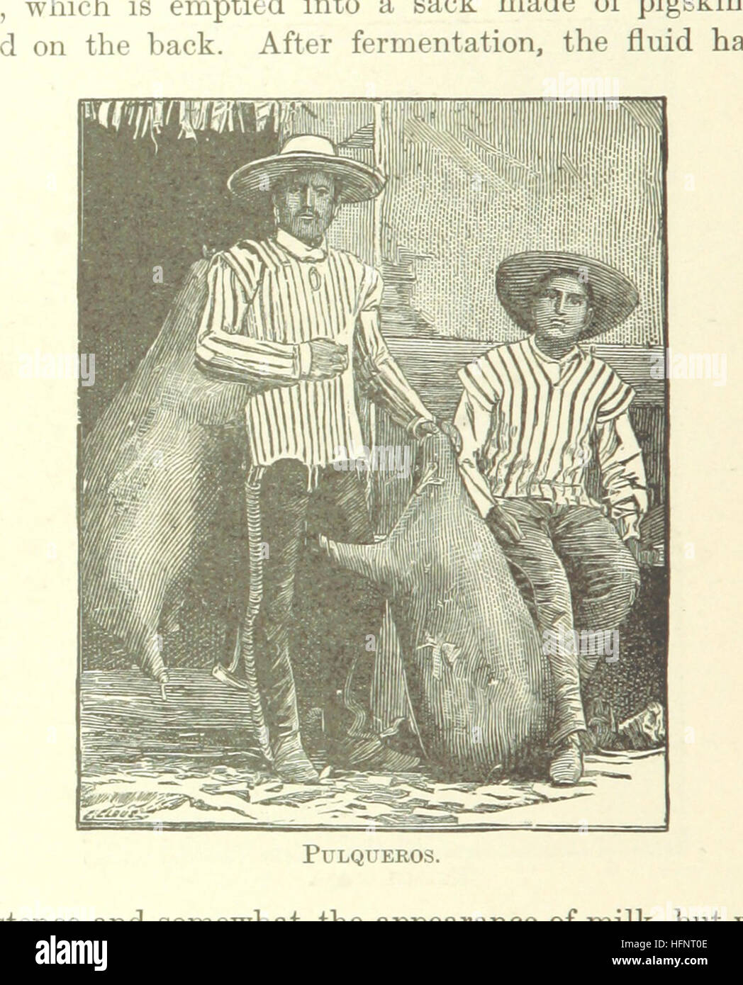 This book offers a detailed history of the Mexican people, exploring ...