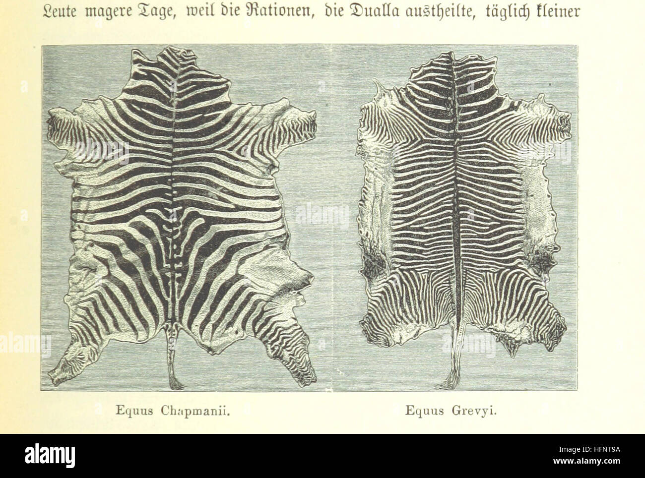 An account of Count S. Teleki's research expedition to the Rudolph and ...