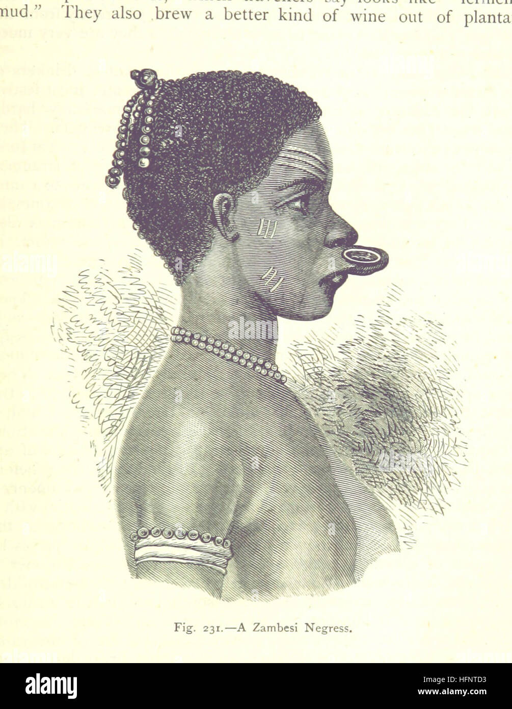 This image from 'The Human Race' features wood engravings and ...