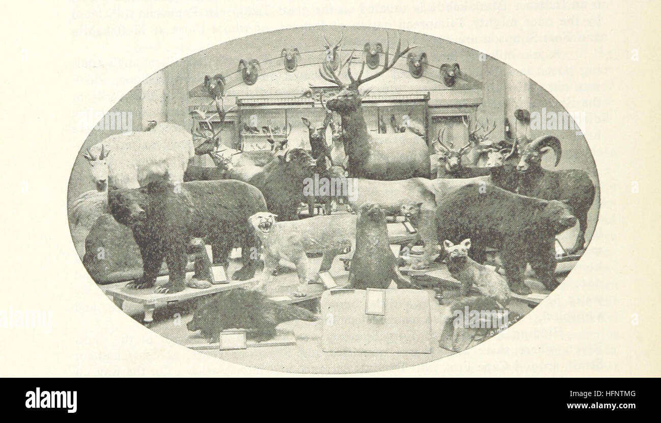 An image from 'The Year Book of British Columbia,' compiling ...