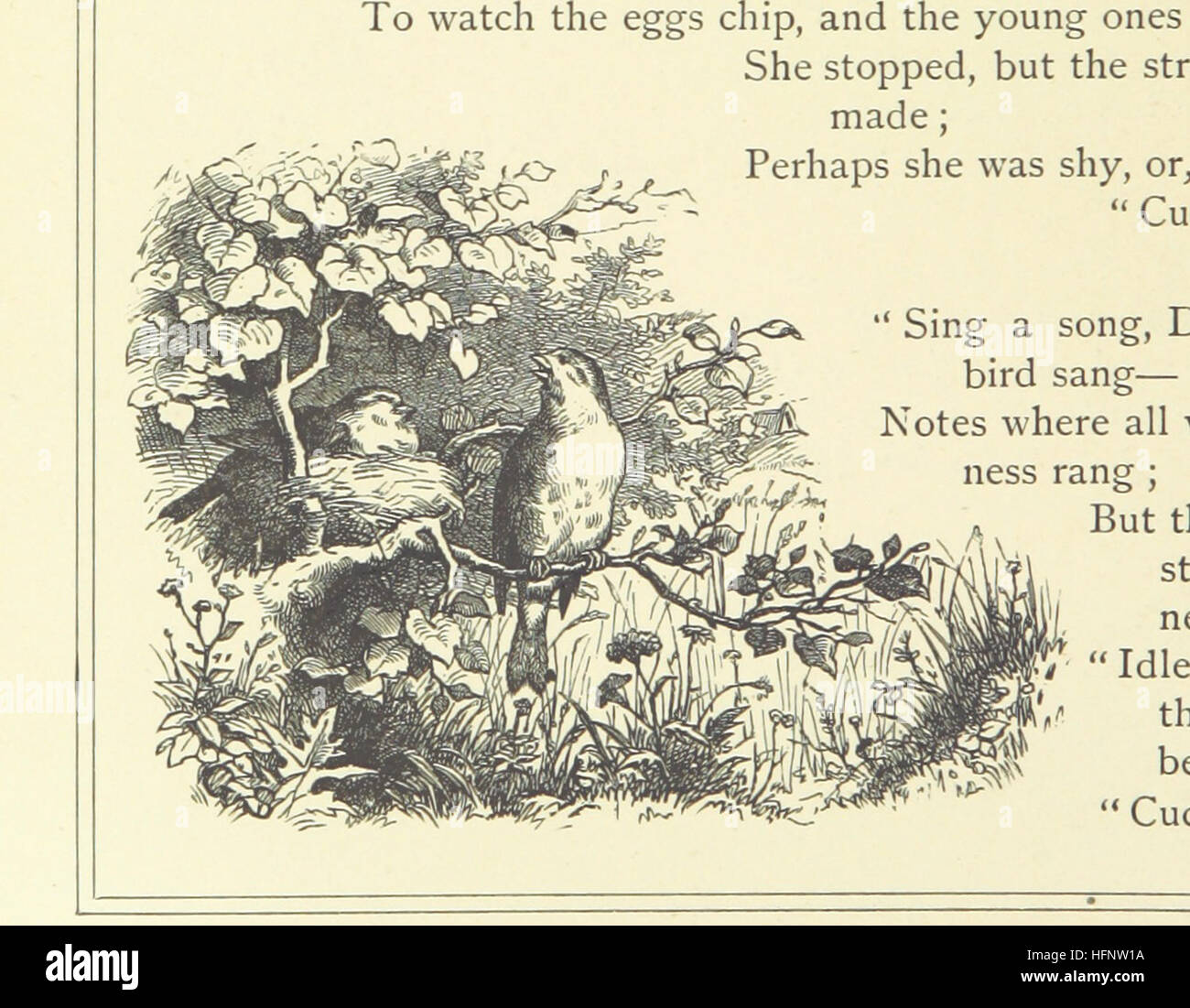 A collection of fables and imaginative stories set in woodlands ...