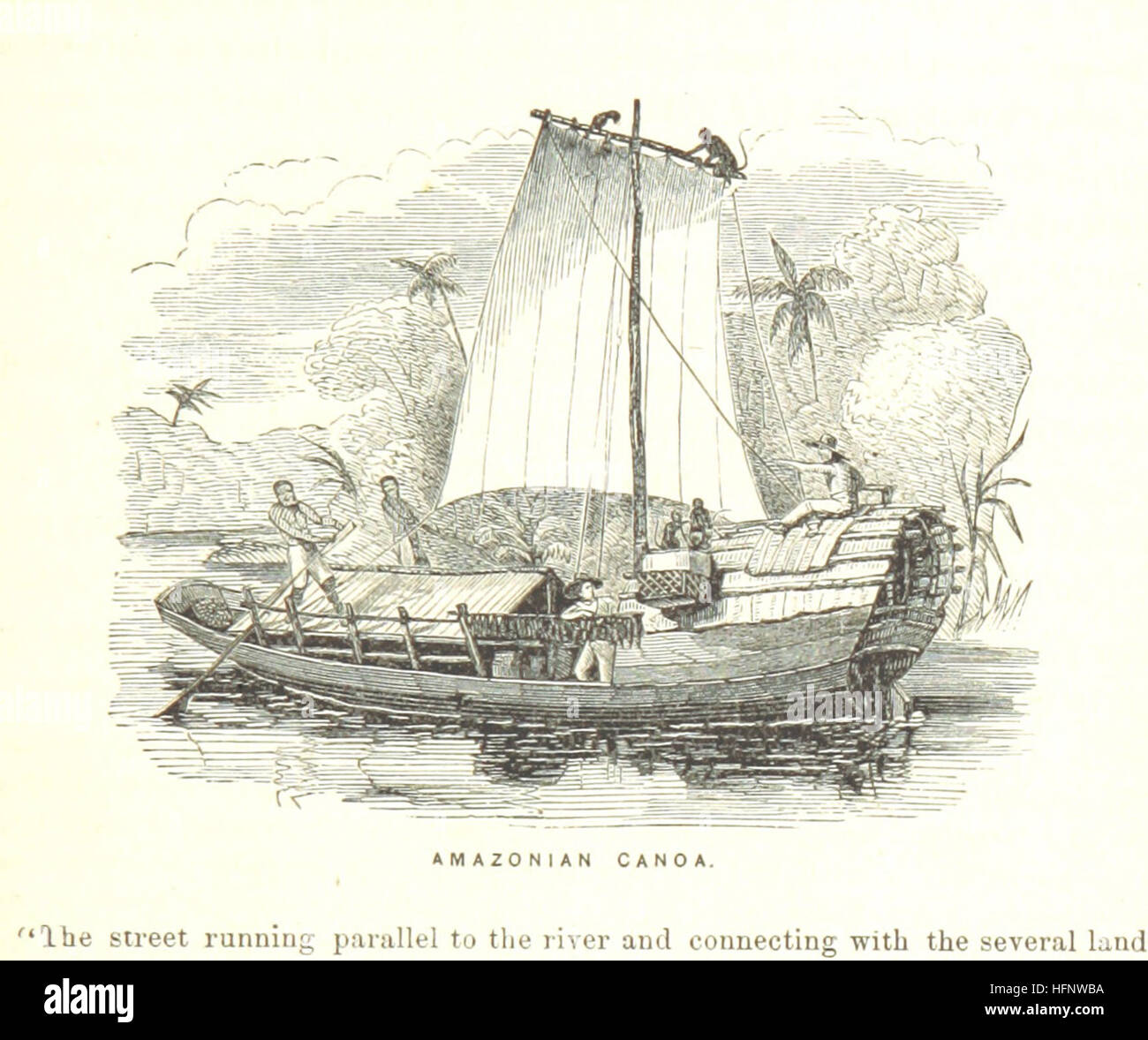 A descriptive exploration of Brazil, detailing its history, people, and ...