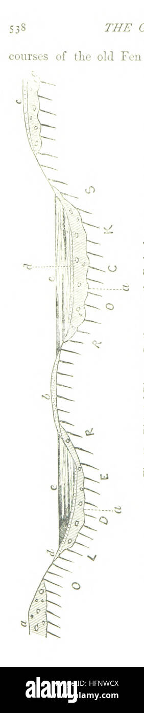 Human age evolution on Cut Out Stock Images & Pictures - Alamy