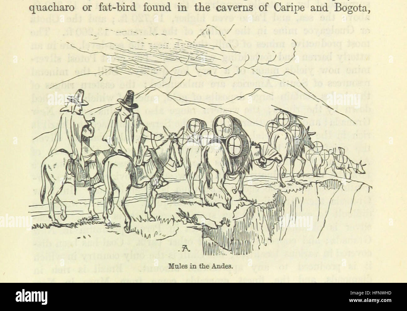 This image from 'The Student's Manual of Modern Geography' presents key ...