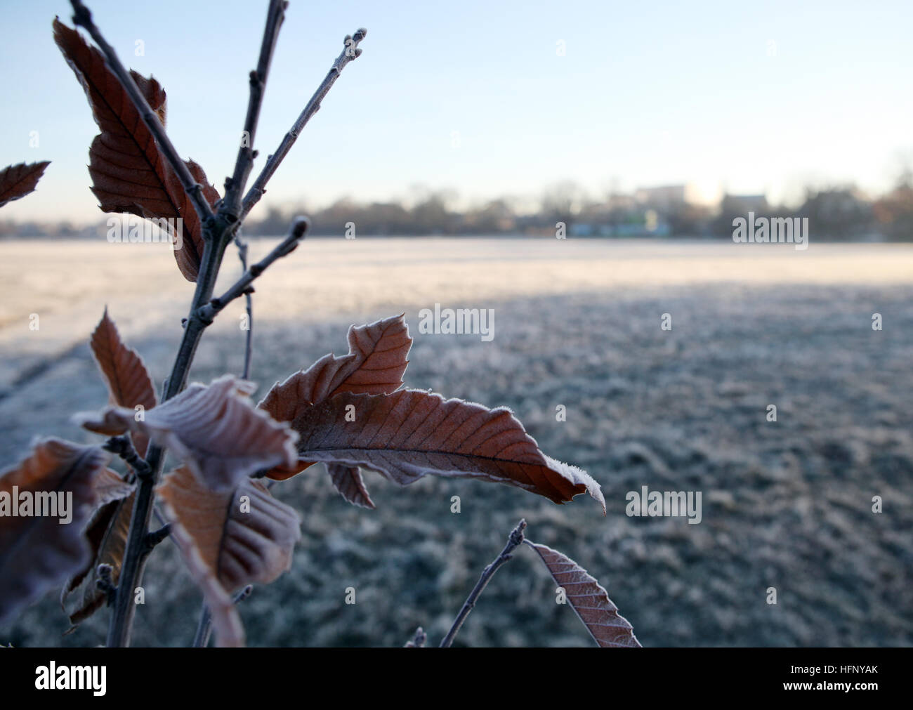 Winter is on the way as London woke up to freezing temperatures this ...