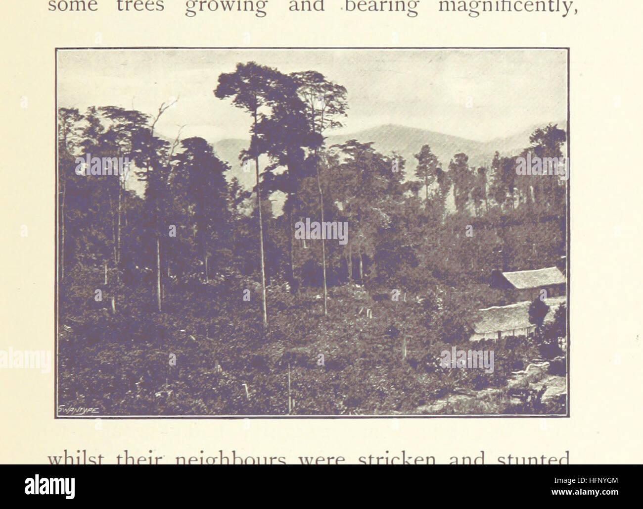 This work recounts 15 years of exploration and adventure across Malaya ...