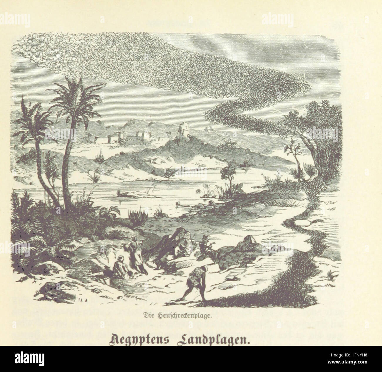 'Das Alte Wunderland der Pyramiden' explores the ancient pyramids of ...