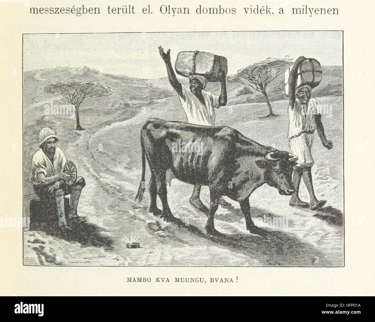 This Hungarian edition details the exploration journey of Count Samuel ...