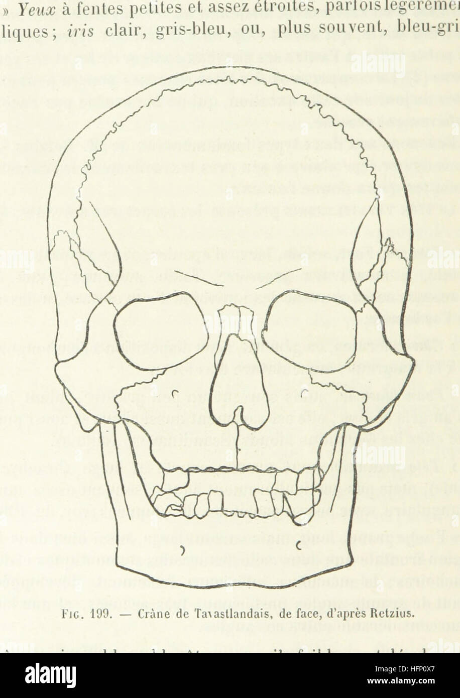 Image from page 642 of 'Hommes fossiles et hommes sauvages', a study on ...