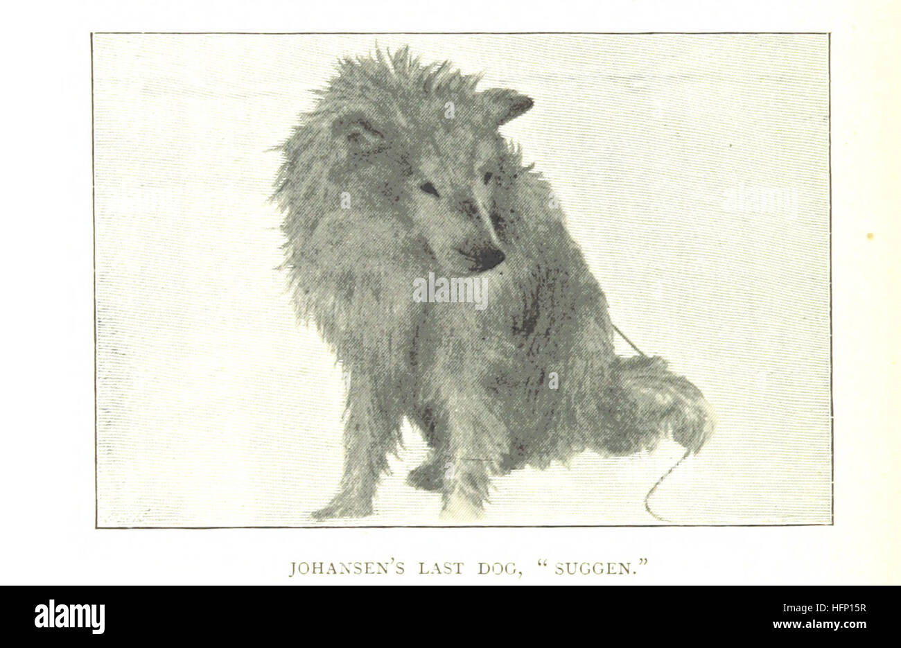 A record of the voyage of the ship 'Fram,' exploring the Arctic ...