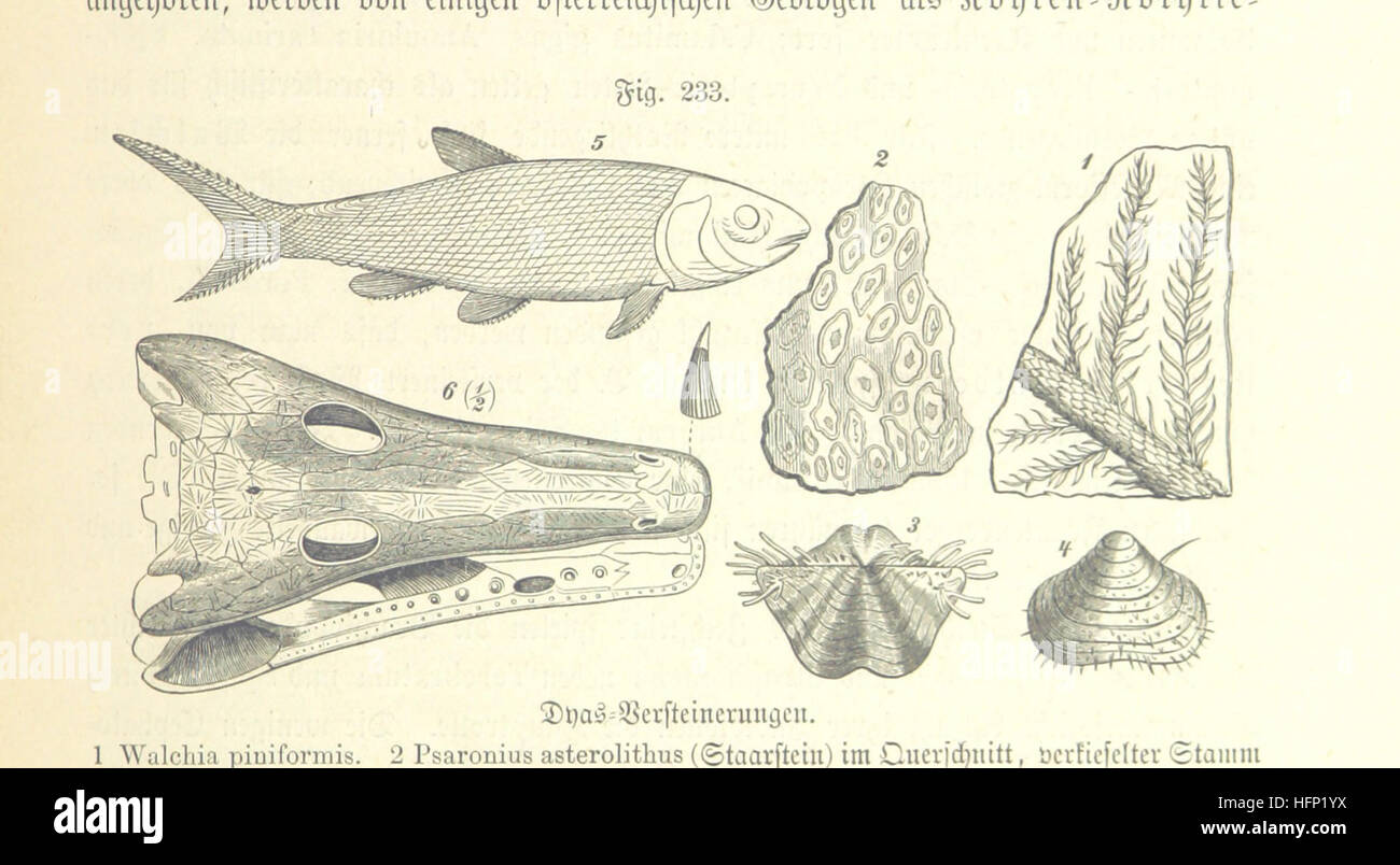 Image from 'Unser Wissen von der Erde', providing an overview of global geography and world ...