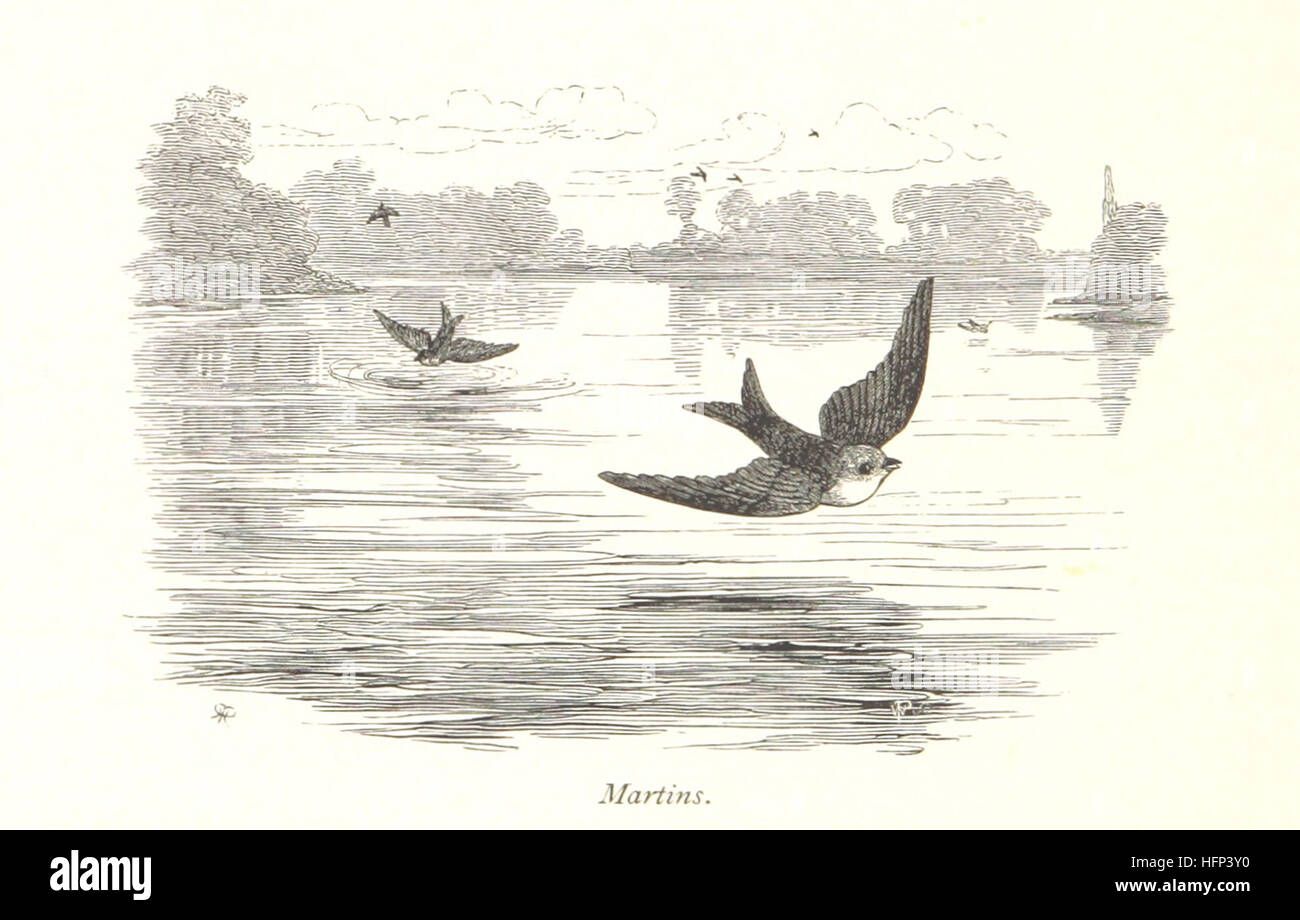 Image from page 68 of 'Life on the Upper Thames,' illustrating scenes ...