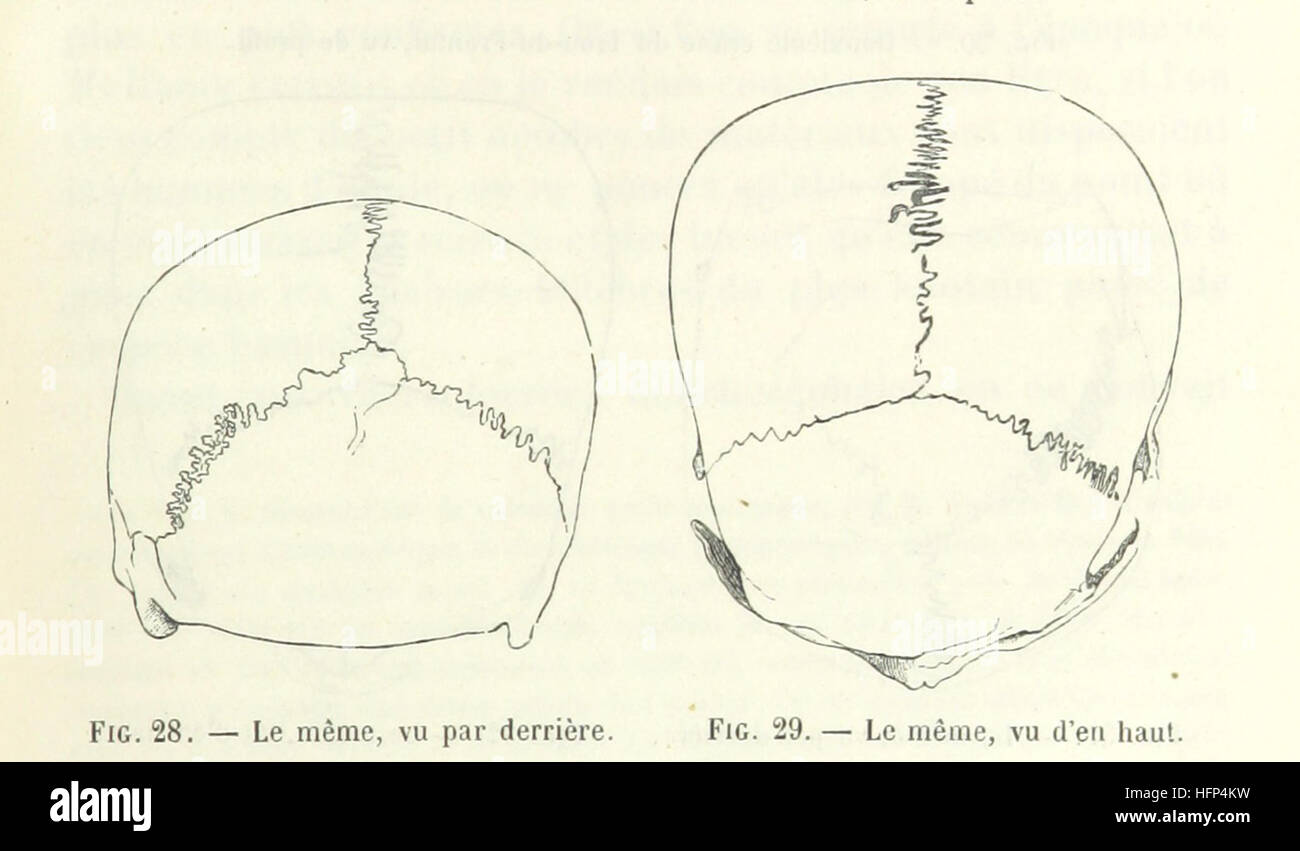 This image is from 'Hommes fossiles et hommes sauvages', an ...