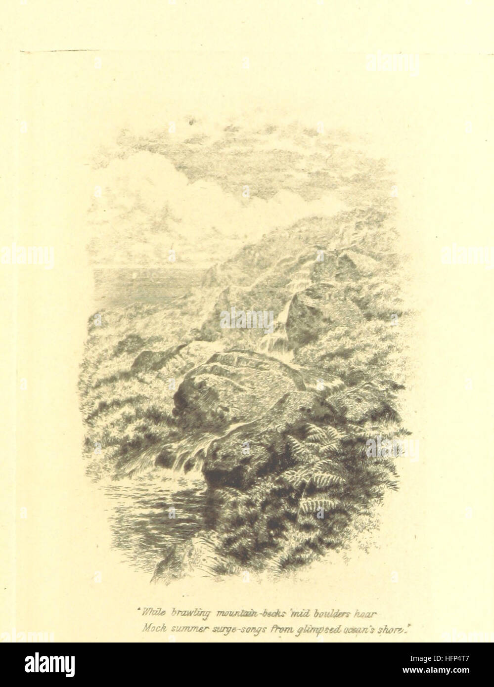 The Dawning Grey ... With illustrations by the author. [Verses.] Image ...