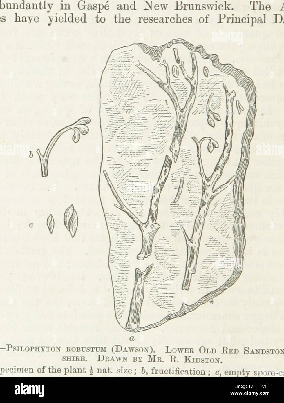 A foundational text on geology, exploring the science of the Earth’s ...