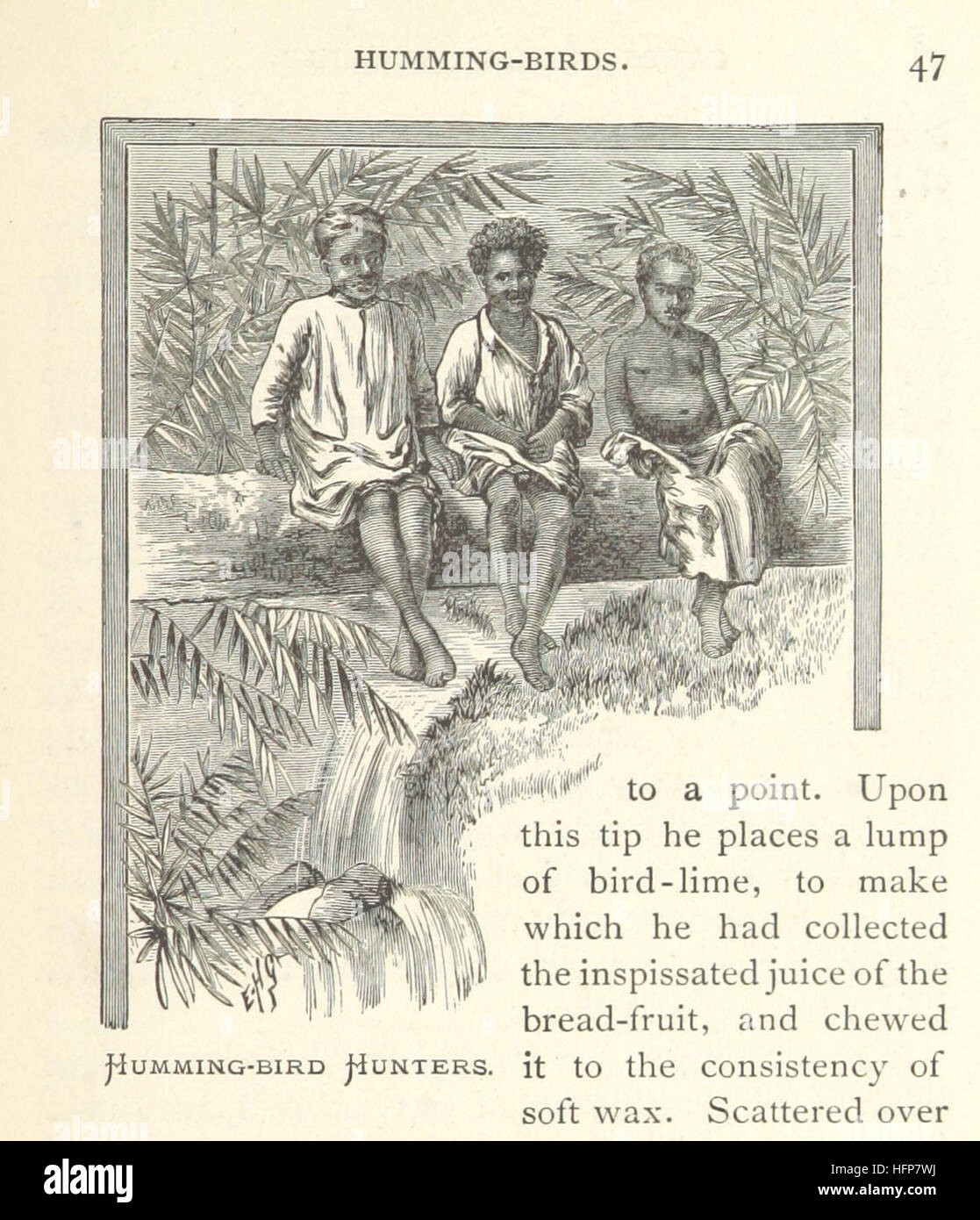 This image comes from a naturalist's account of his adventures in the ...