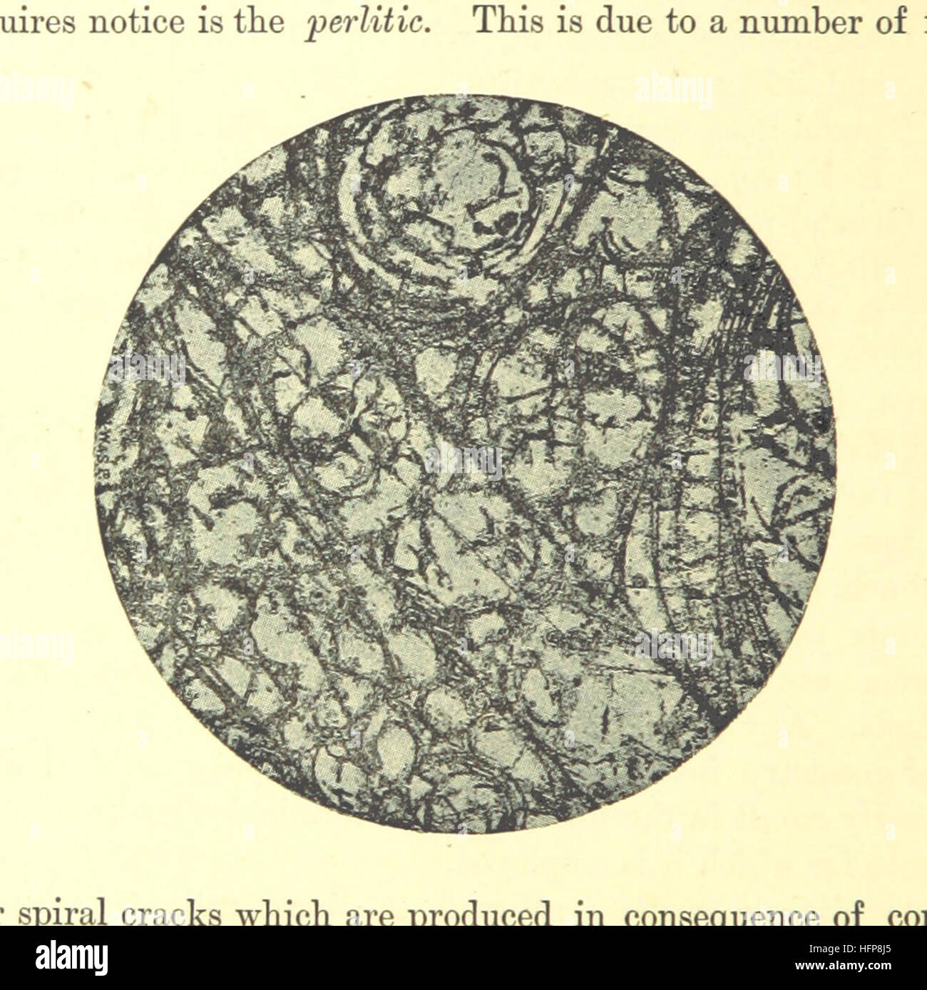 British Petrography: with special reference to the igneous rocks. With ...