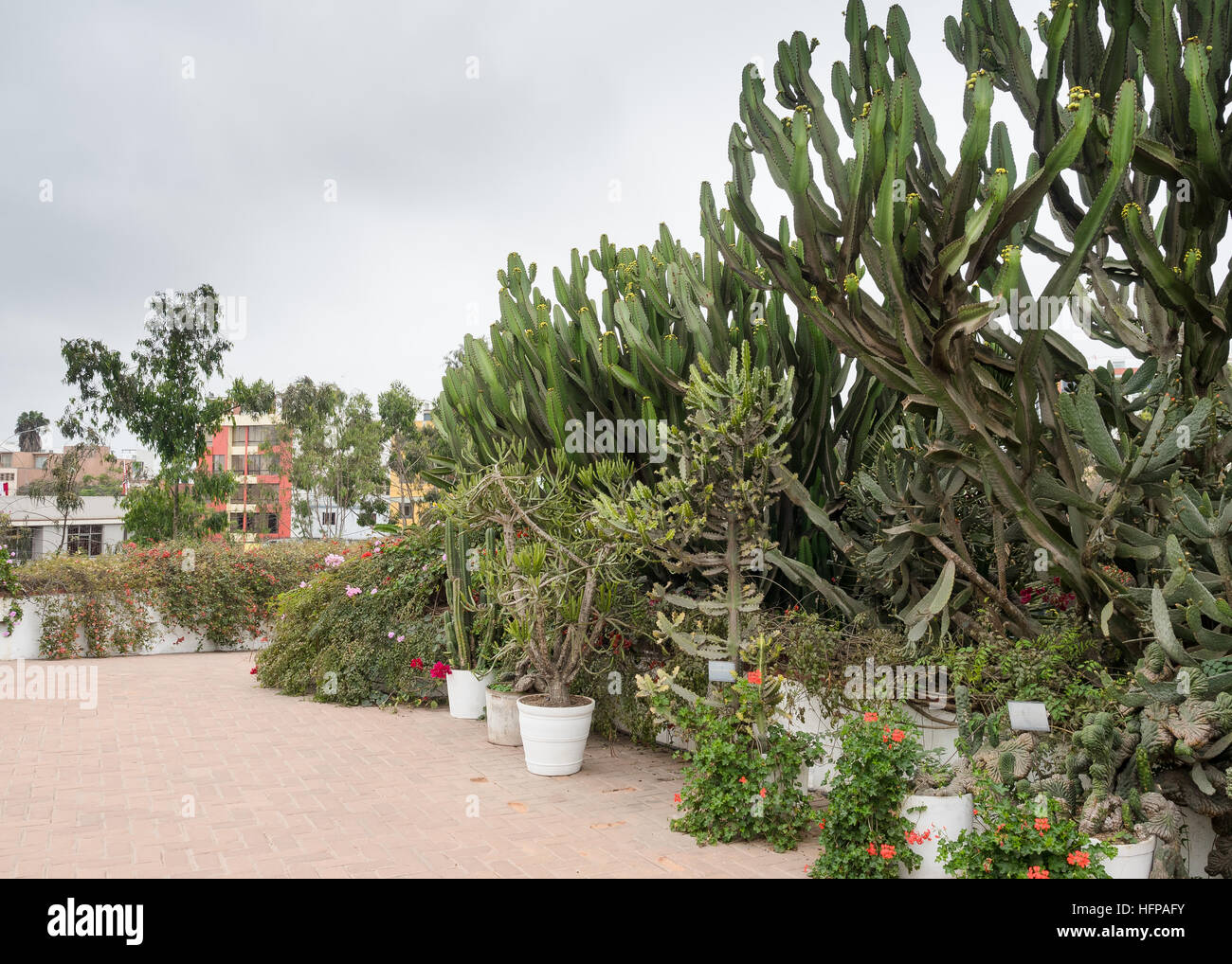Larco Museum in Lima, Peru Stock Photo - Alamy