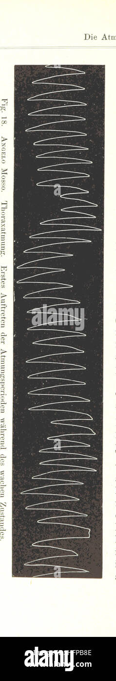 Image from 'Der Mensch auf den Hochalpen', depicting research on human ...