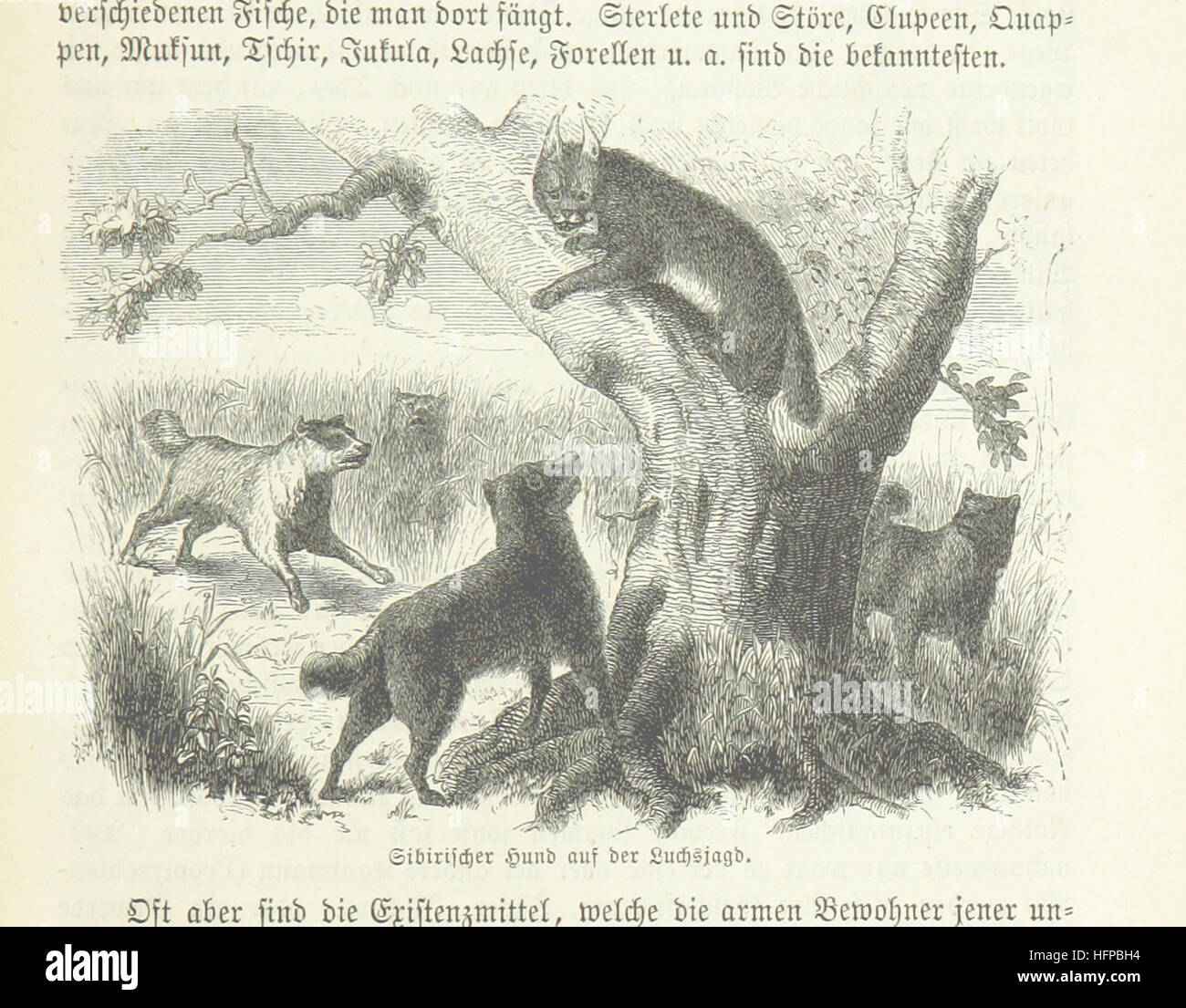 A detailed description of present-day Russia, with images and ...