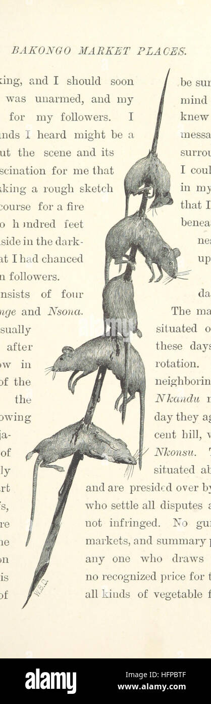 Congo map 1890 hi-res stock photography and images - Alamy