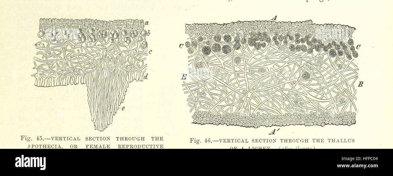 This image from 'Our Earth and its Story' by R. Brown presents a ...