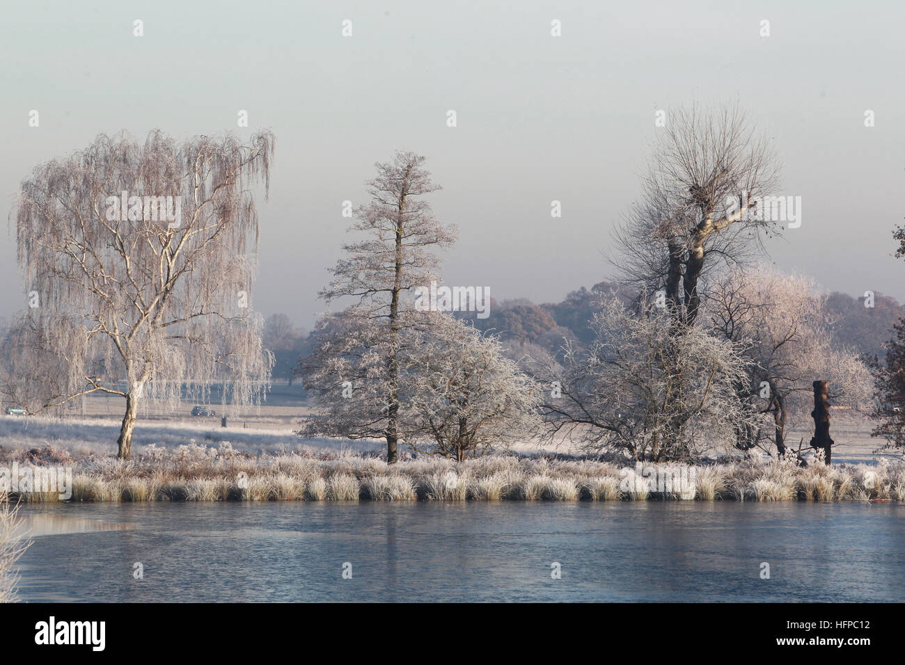 Photographers gather in their masses on the field in Richmond Park to ...
