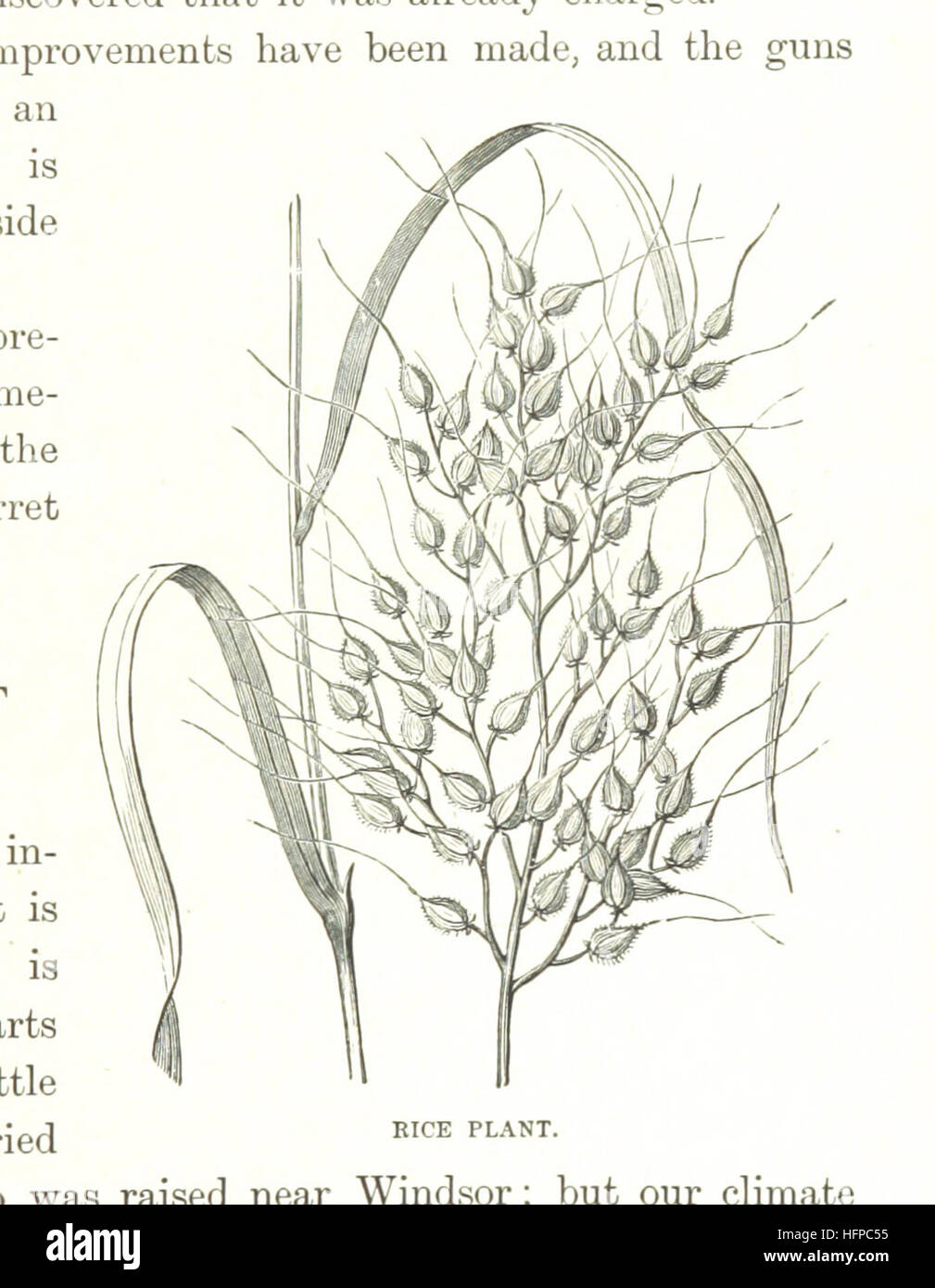 The image is from 'Wonderland,' showcasing the curious and ...