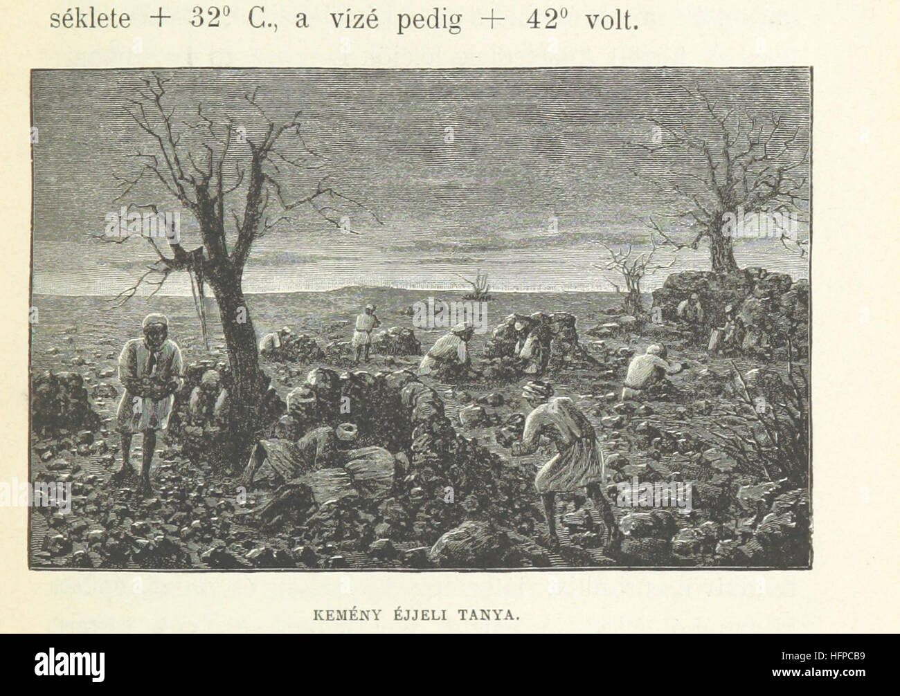 Illustration of Samuel Teleki’s exploration of East Africa, focusing on ...