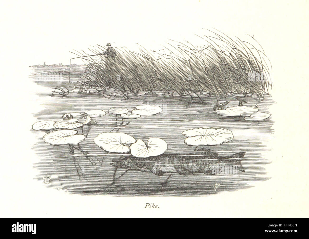 A narrative exploring life along the Upper Thames in England ...