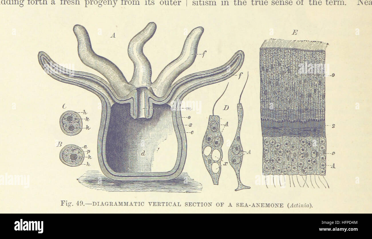 A popular treatise on physical geography, exploring Earth's physical ...
