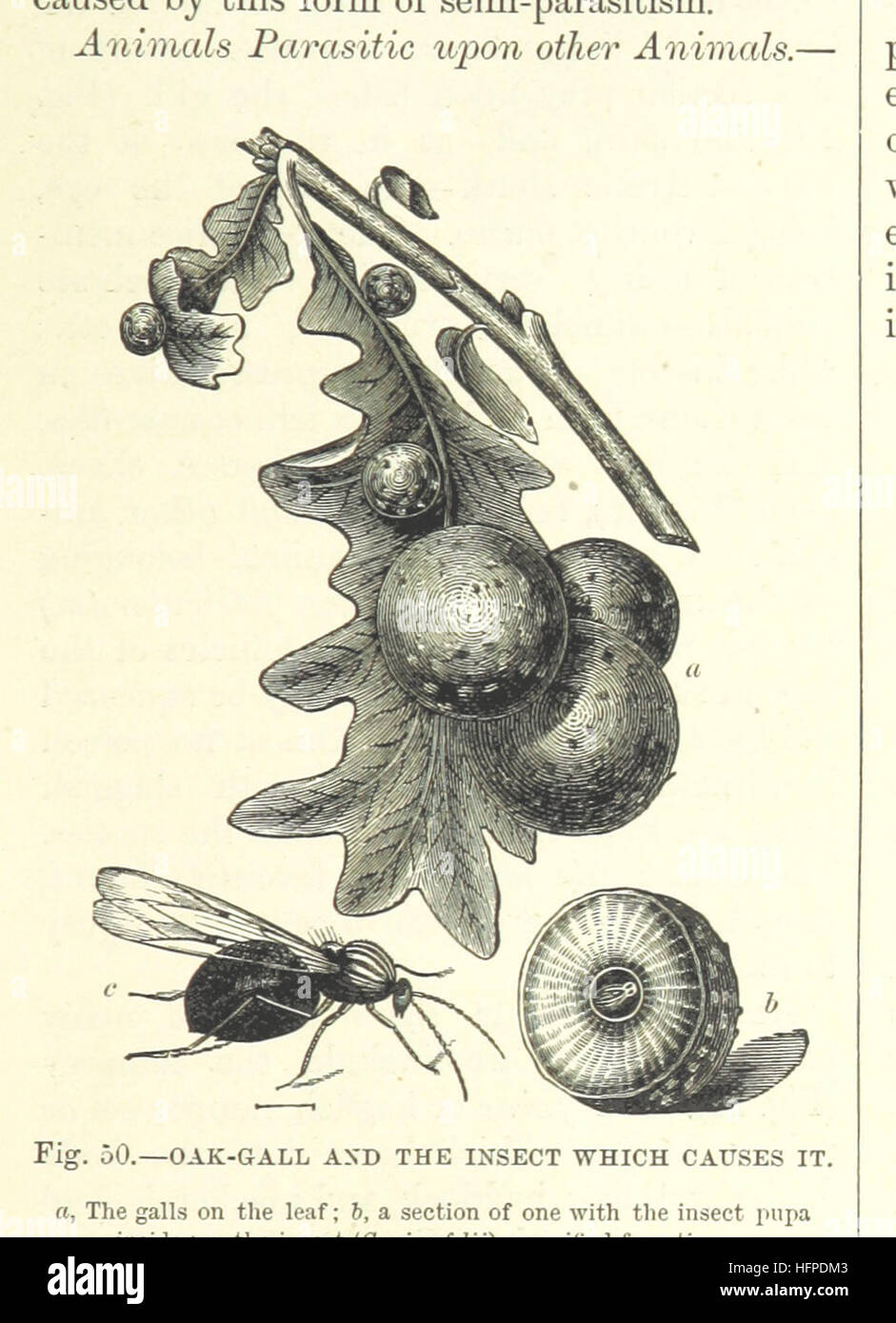 This image from 'Our Earth and its Story' provides an overview of ...