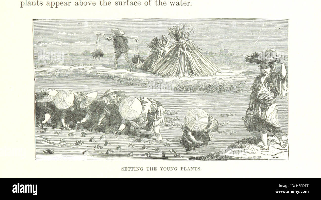 Wonderland, or, Curiosities of Nature and Art Image taken from page 81 ...