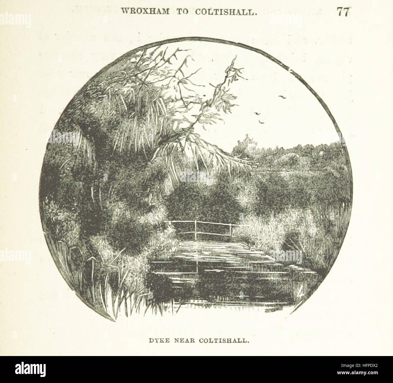 An illustrated guide detailing the rivers and broads of Norfolk and ...