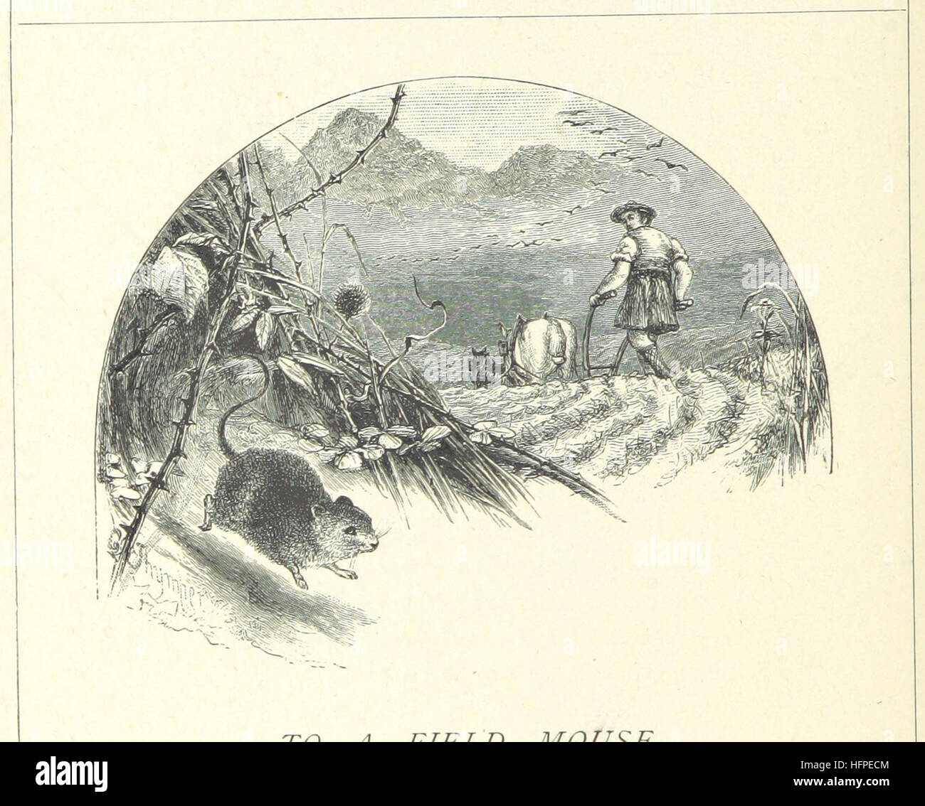 Winter Pictures by poet and artist. [Selections in verse from various ...