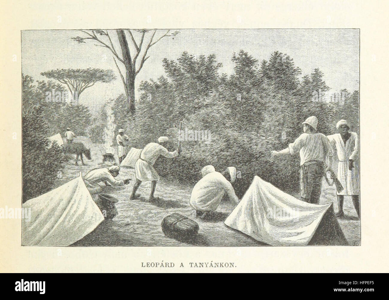 This Hungarian-language work recounts Count Samuel Teleki's exploration ...